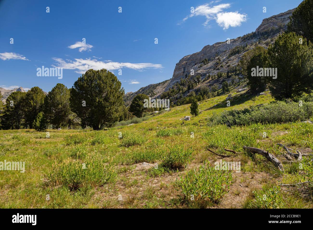 Morning view of the beautiful landscape around the Ruby Crest Trail of ...