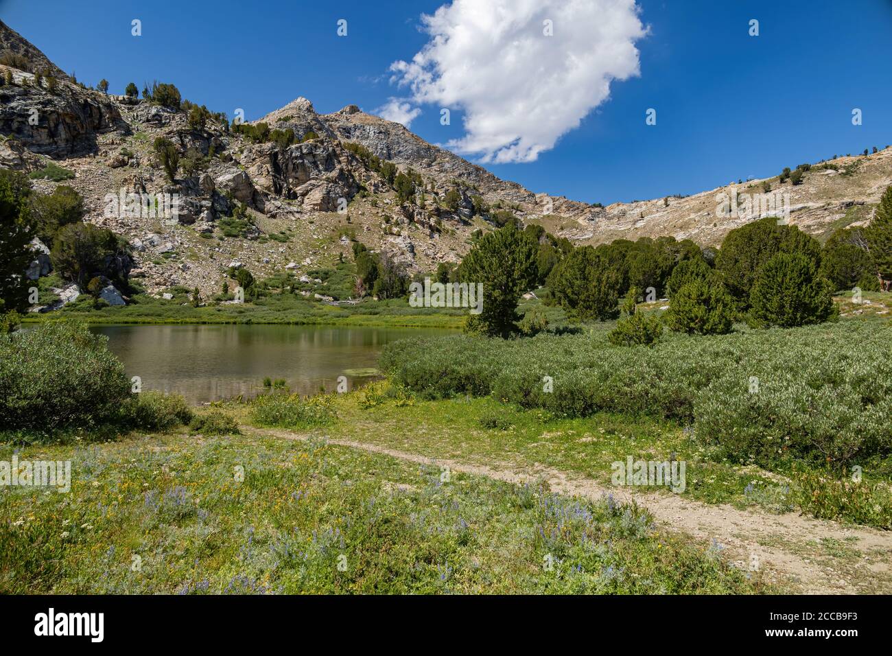 Ruby mountains hi-res stock photography and images - Alamy