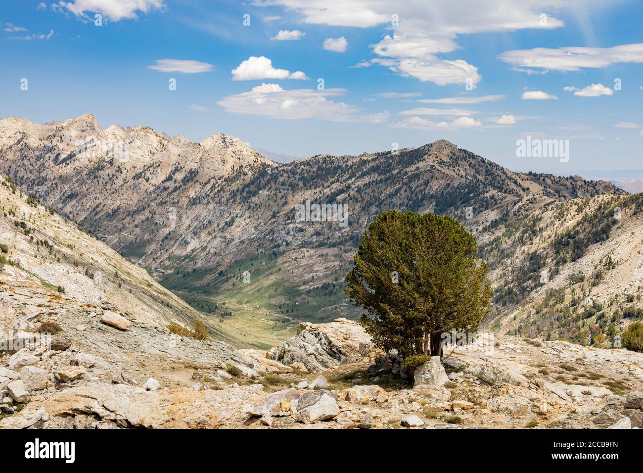 Morning view of the beautiful landscape around the Ruby Crest Trail of ...