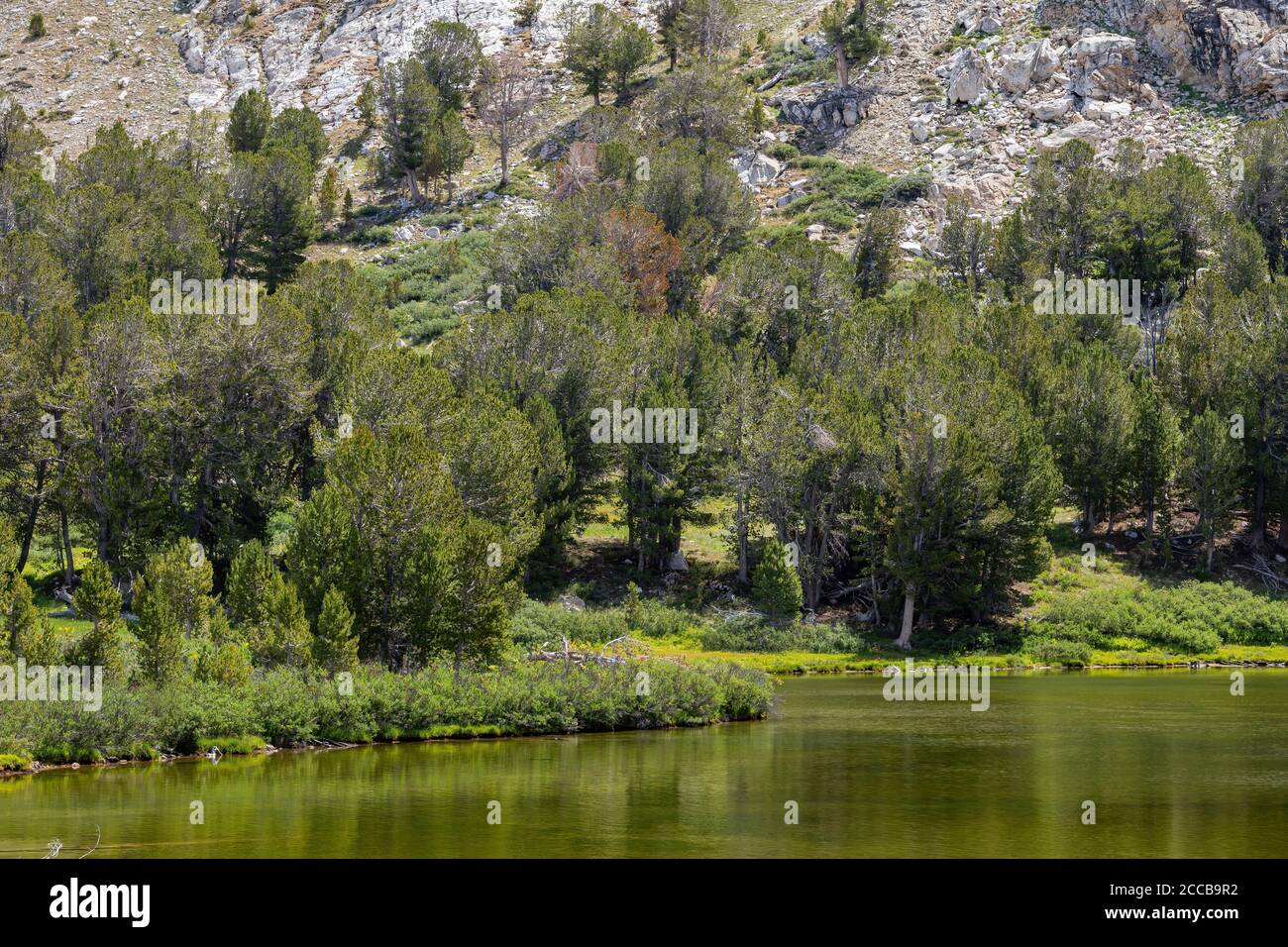 Afternoon view of the beautiful Castle Lake at Ruby Mountain, Nevada ...