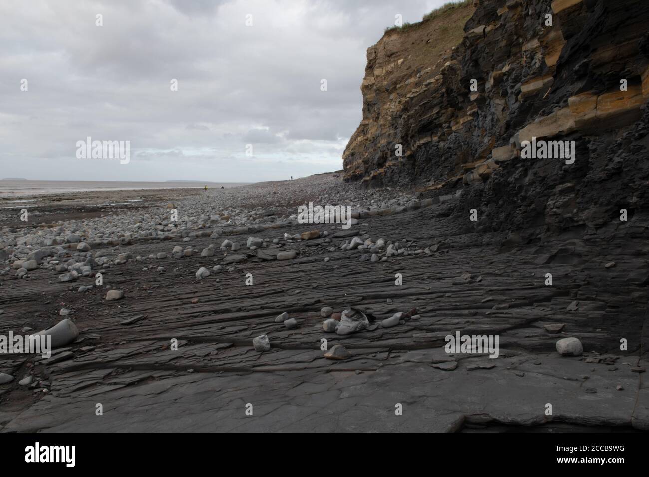 Geological formations on Kilve Beach, Somerset, UK Stock Photo - Alamy