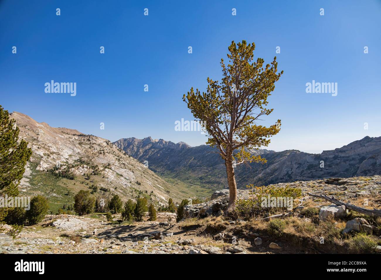 Morning view of the beautiful landscape around the Ruby Crest Trail of ...