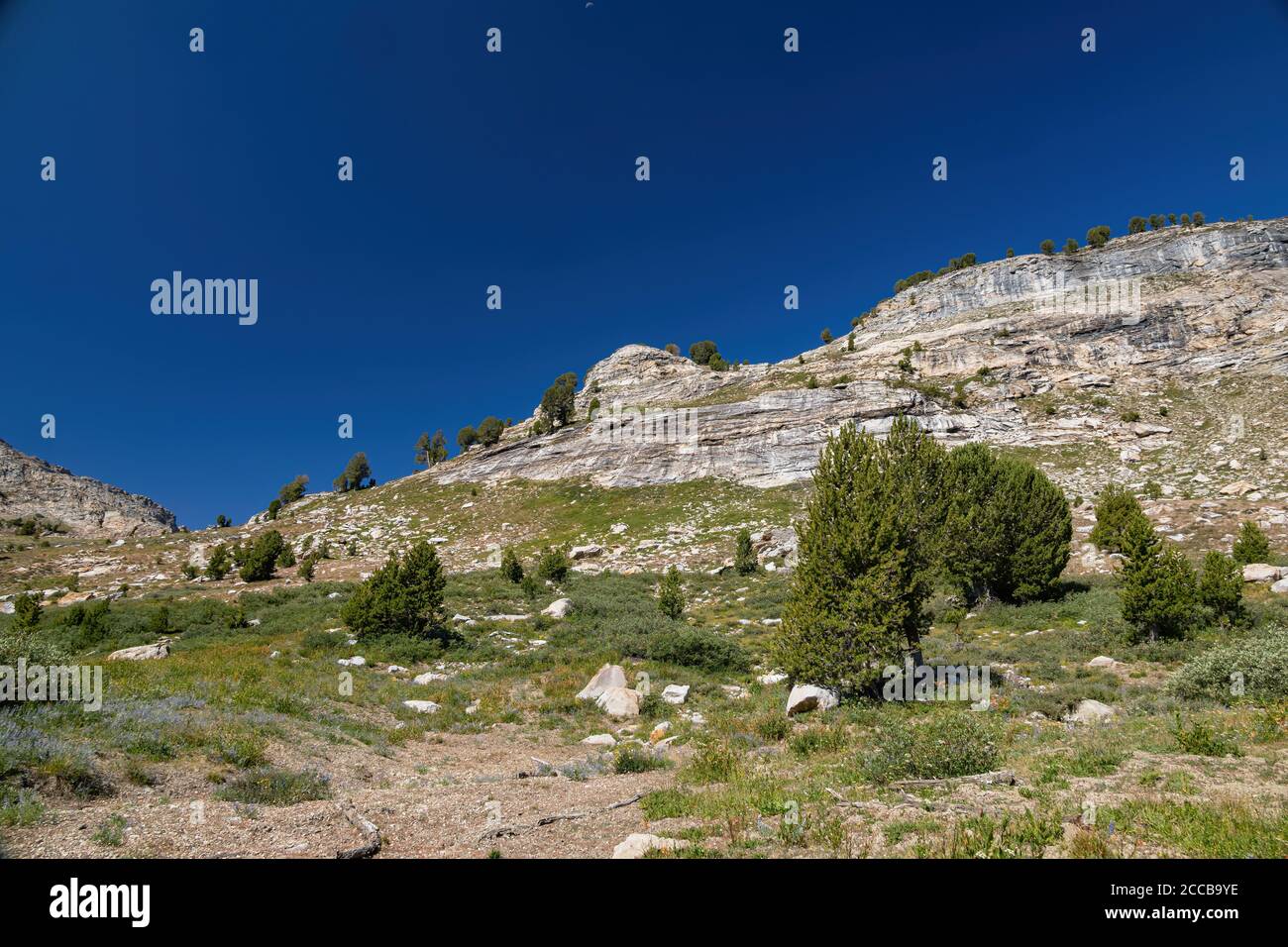 Morning view of the beautiful landscape around the Ruby Crest Trail of ...