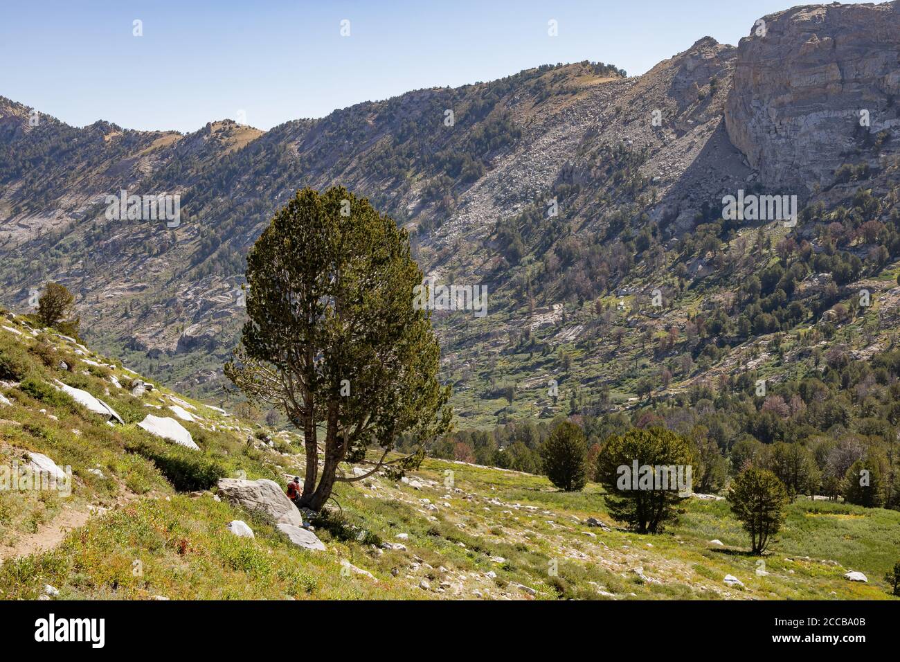 Morning view of the beautiful landscape around the Ruby Crest Trail of ...