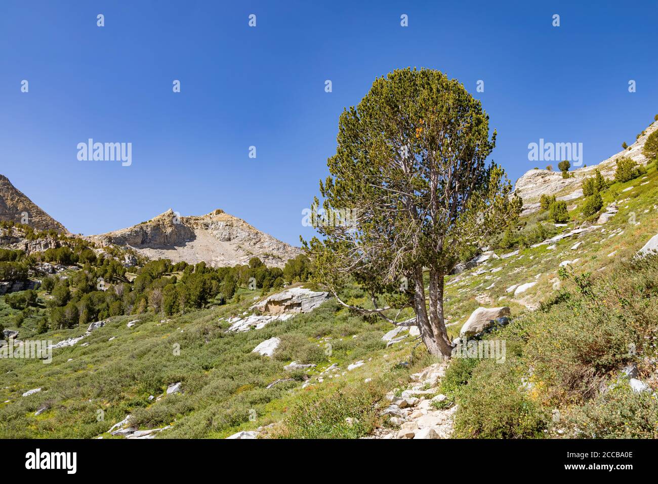 Morning view of the beautiful landscape around the Ruby Crest Trail of ...