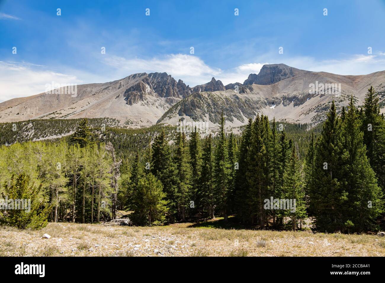 Beautiful landscape along the Wheeler Peak Summit Trail at Great Basin ...