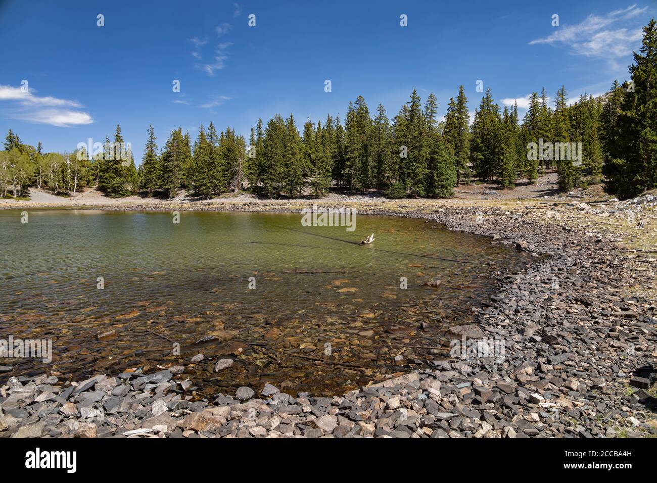 Stella baker hi-res stock photography and images - Alamy