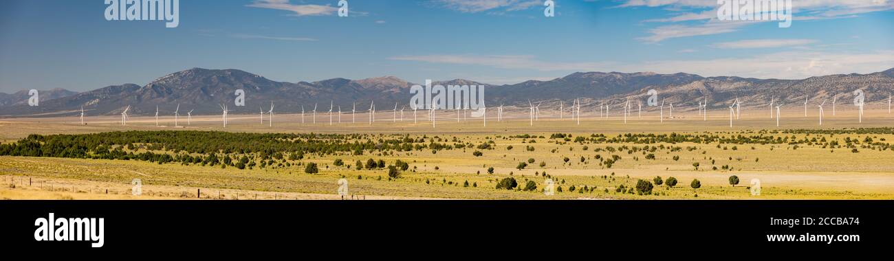 Pine tree windmill hi-res stock photography and images - Alamy