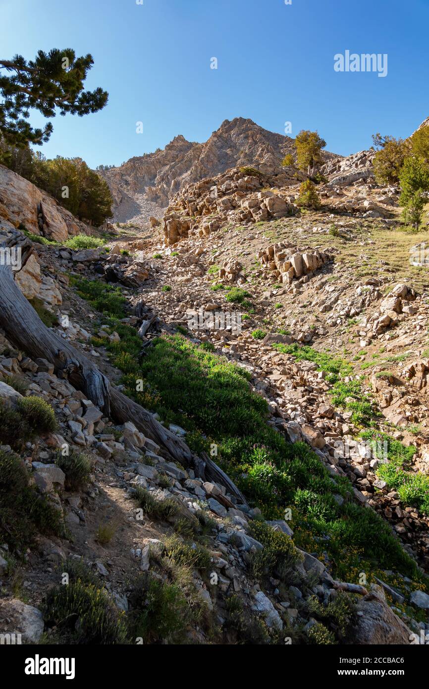 Morning view of the beautiful landscape around the Ruby Crest Trail of ...