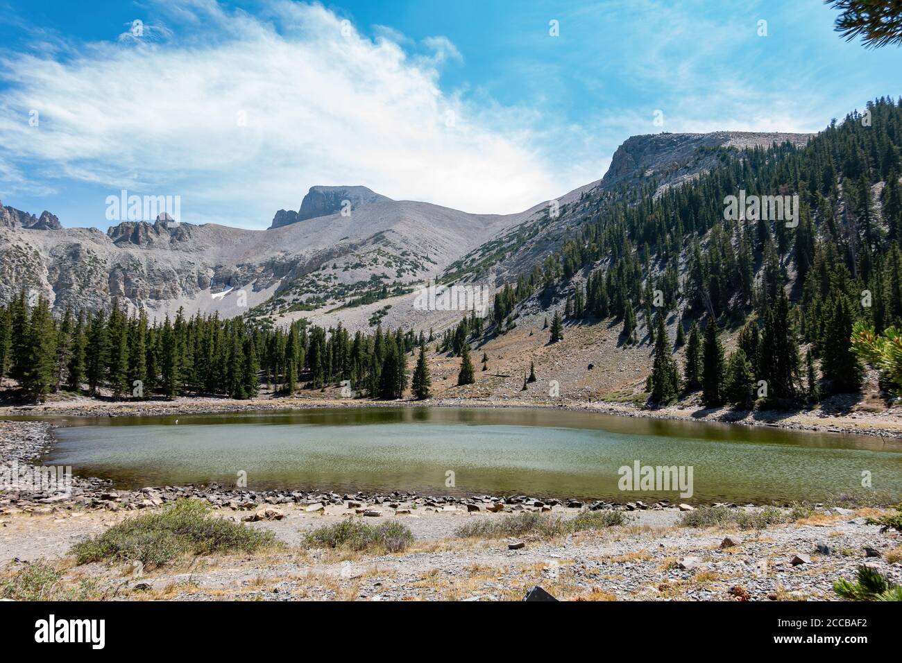 Stella baker hi-res stock photography and images - Alamy