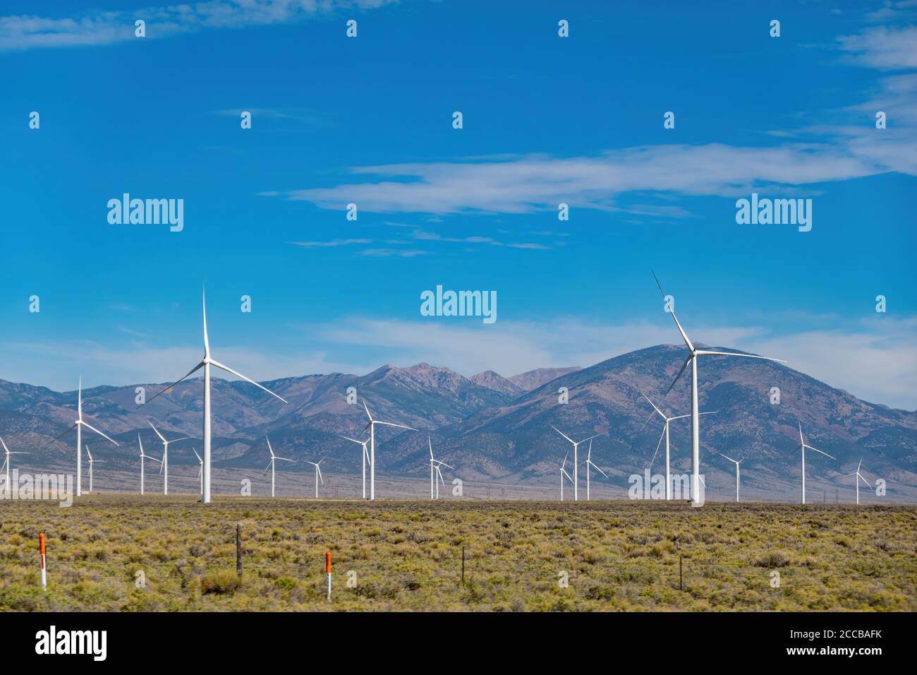 Sunny view of many windmill in a rural area at Nevada Stock Photo - Alamy