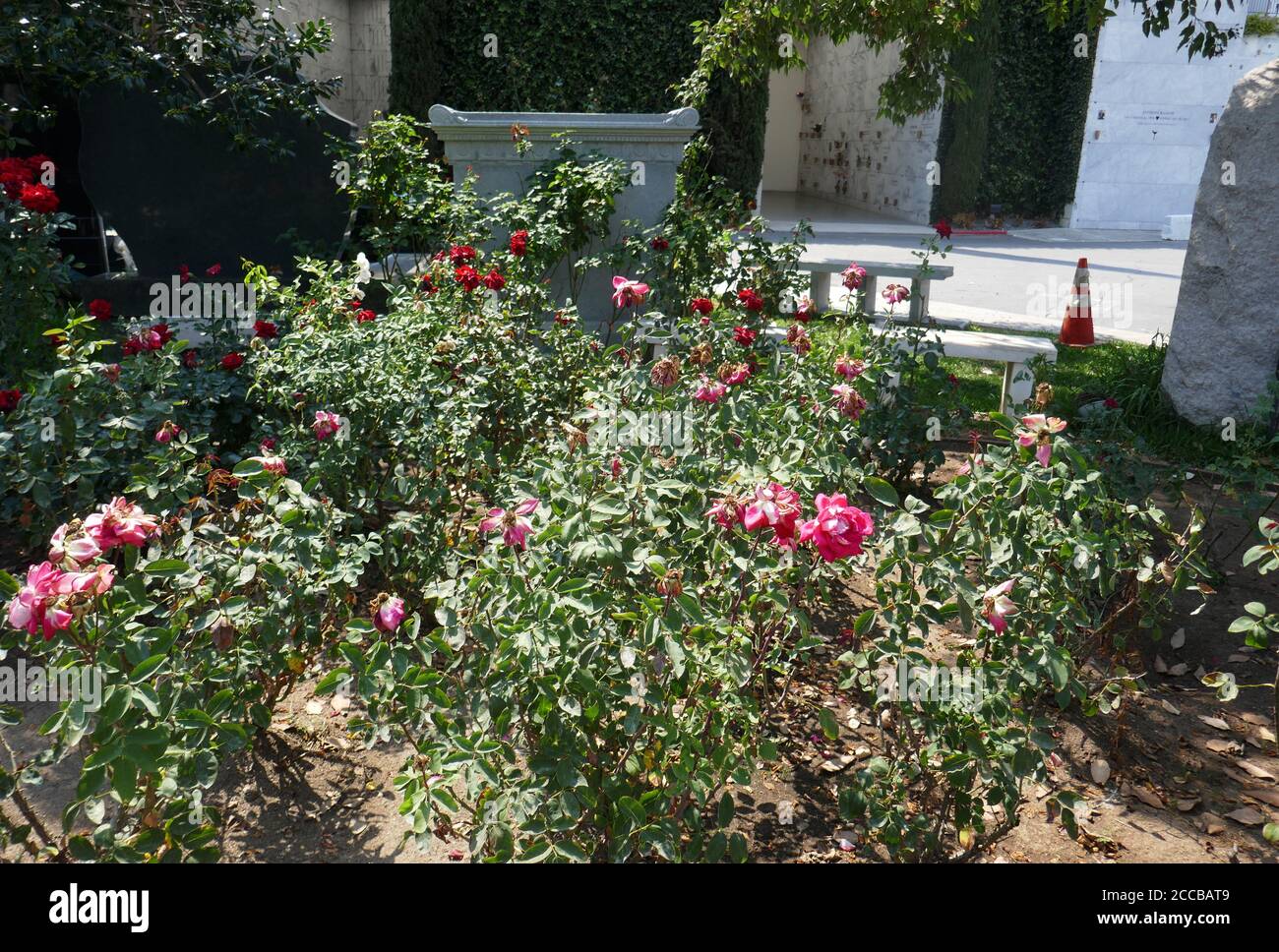 Hollywood, California, USA 19th August 2020 A general view of ...