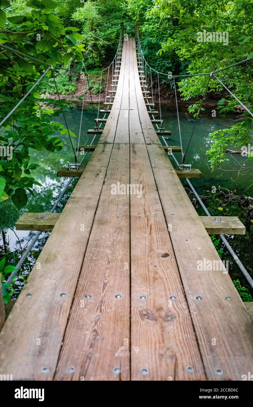 Scenic empty hanging bridge in the middle of the forest nobody around ...