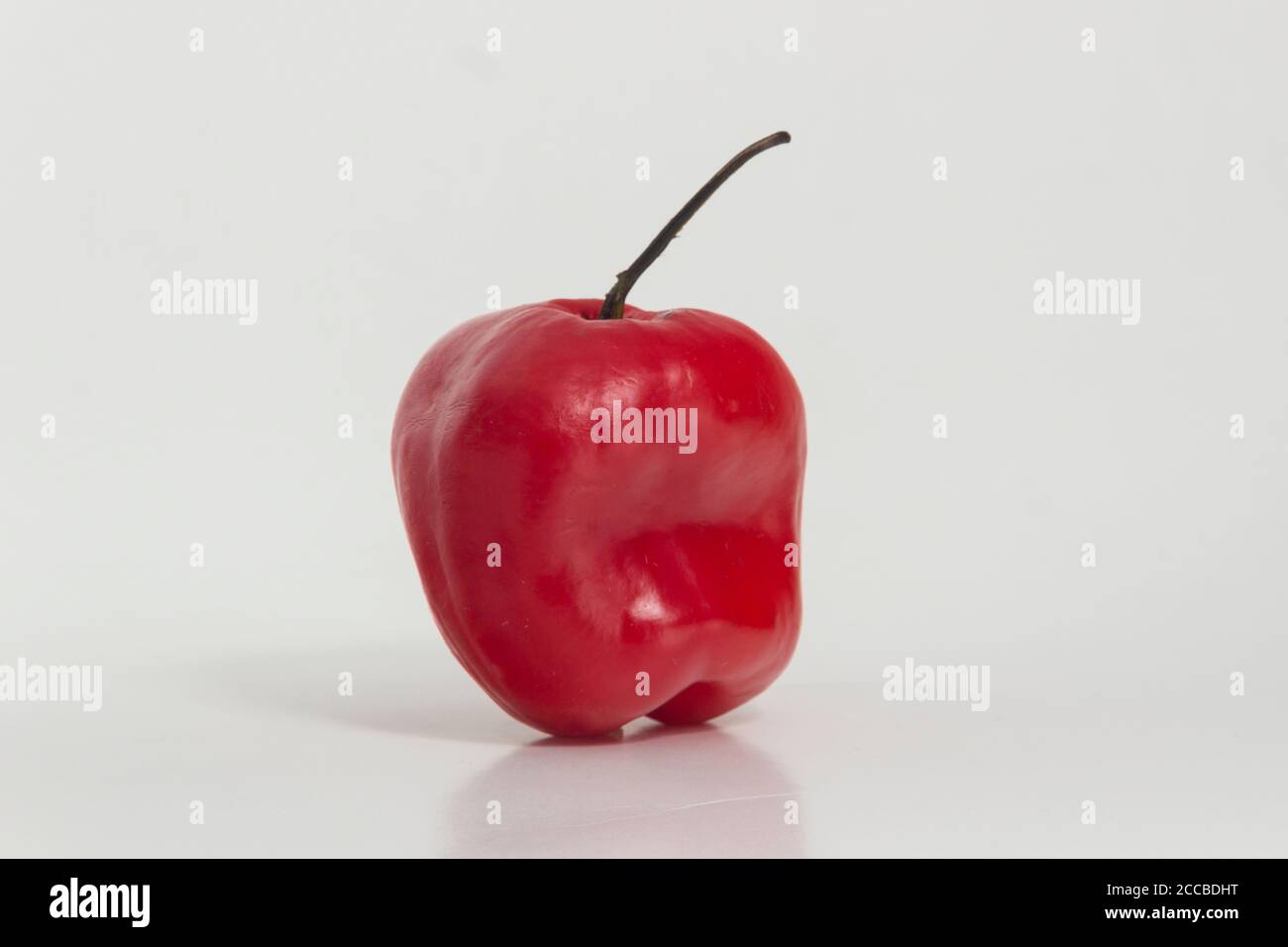Still life of ingredients of Peruvian cuisine. Rocoto. Hot pepper Stock ...