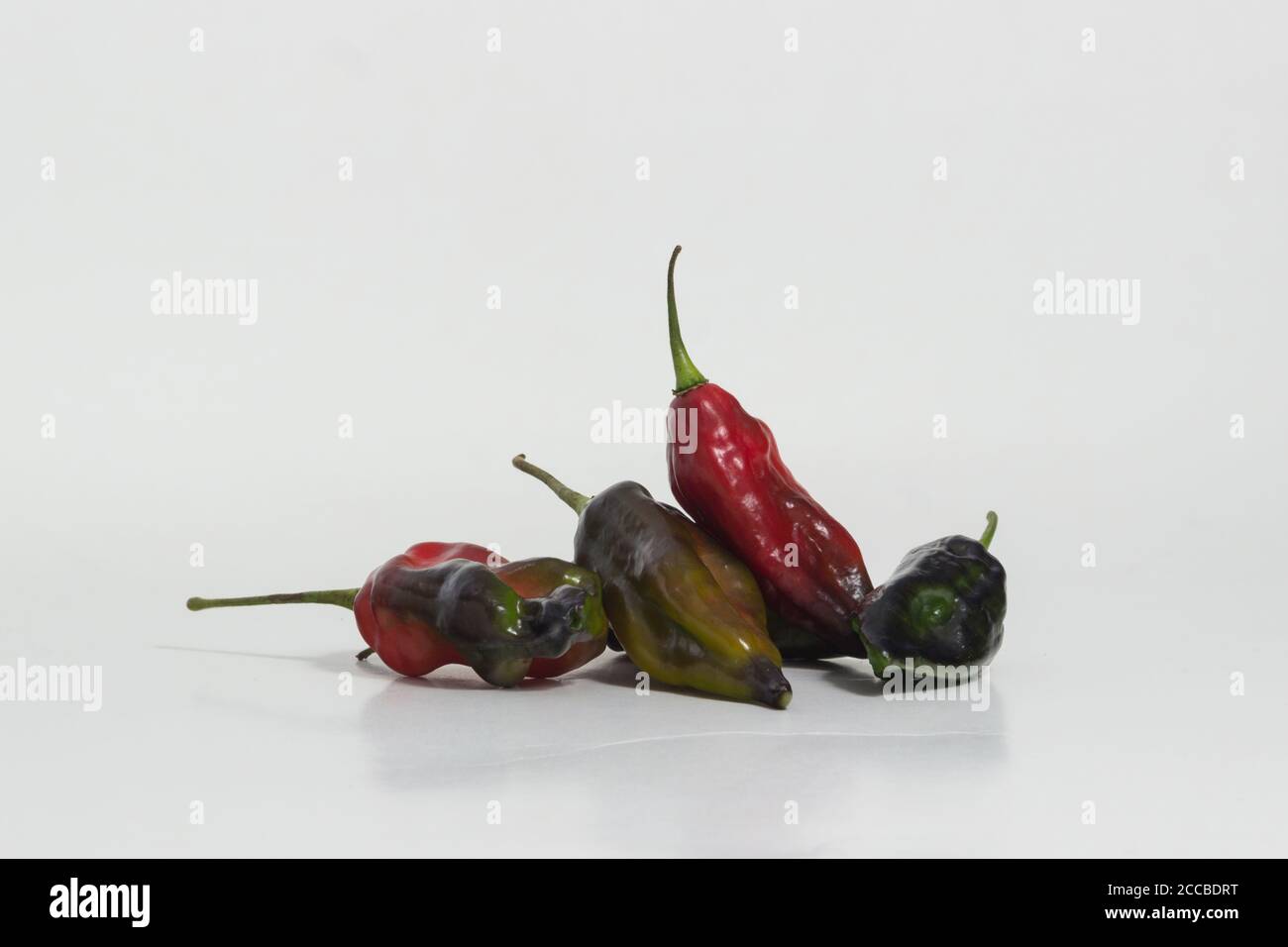 Still life of ingredients of Peruvian cuisine. Limo chili. Limo pepper ...