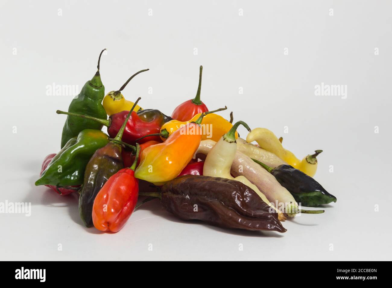 Still life of ingredients of Peruvian cuisine. Mix of Limo chilis. Limo ...