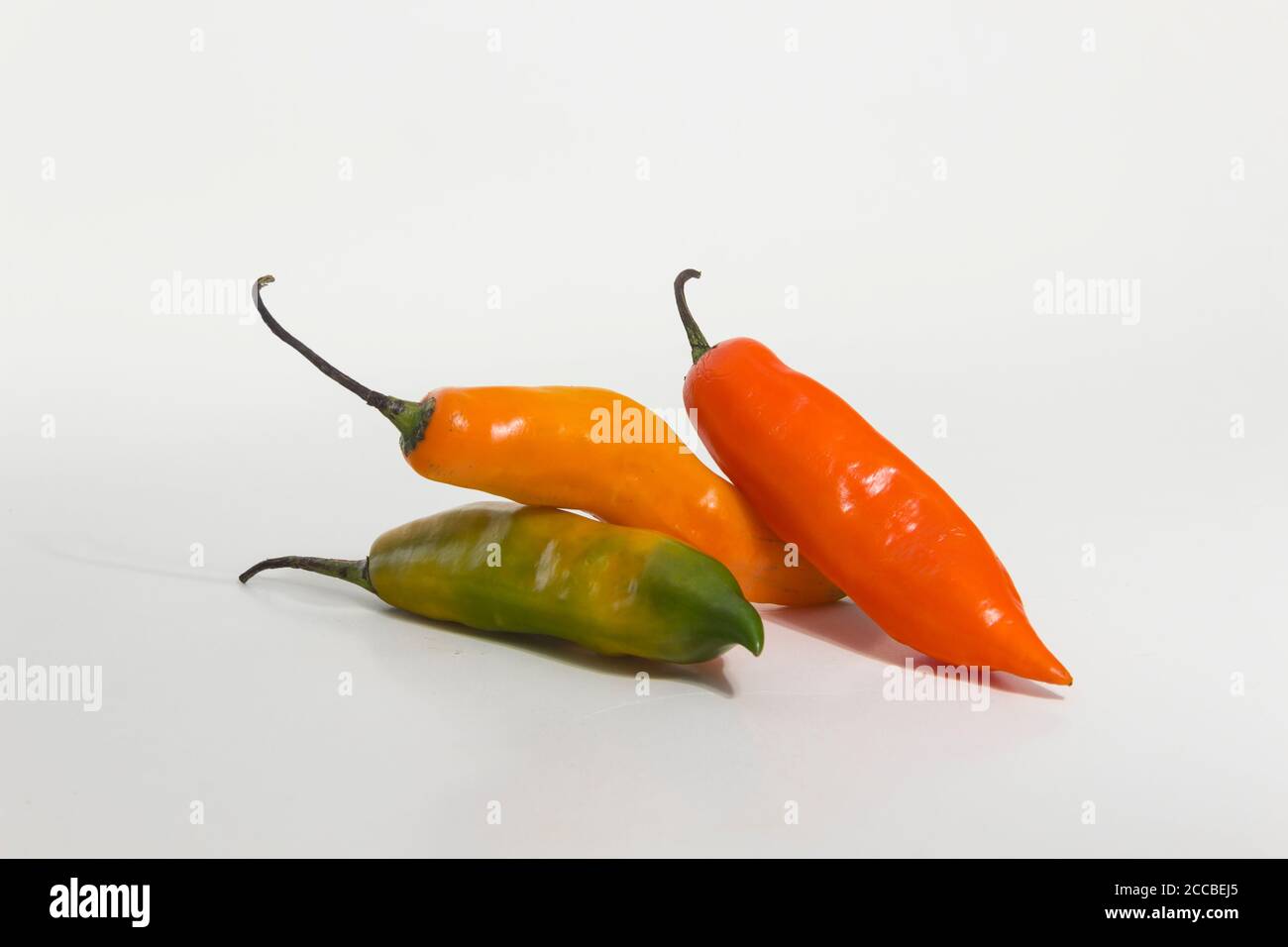 Still life of ingredients of Peruvian cuisine. Causa chili. Causa ...