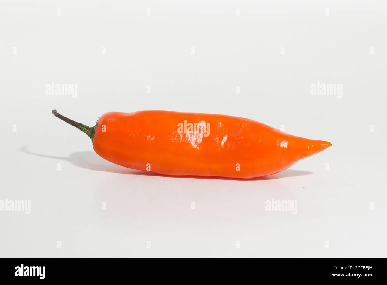 Still life of ingredients of Peruvian cuisine. Causa chili. Causa ...
