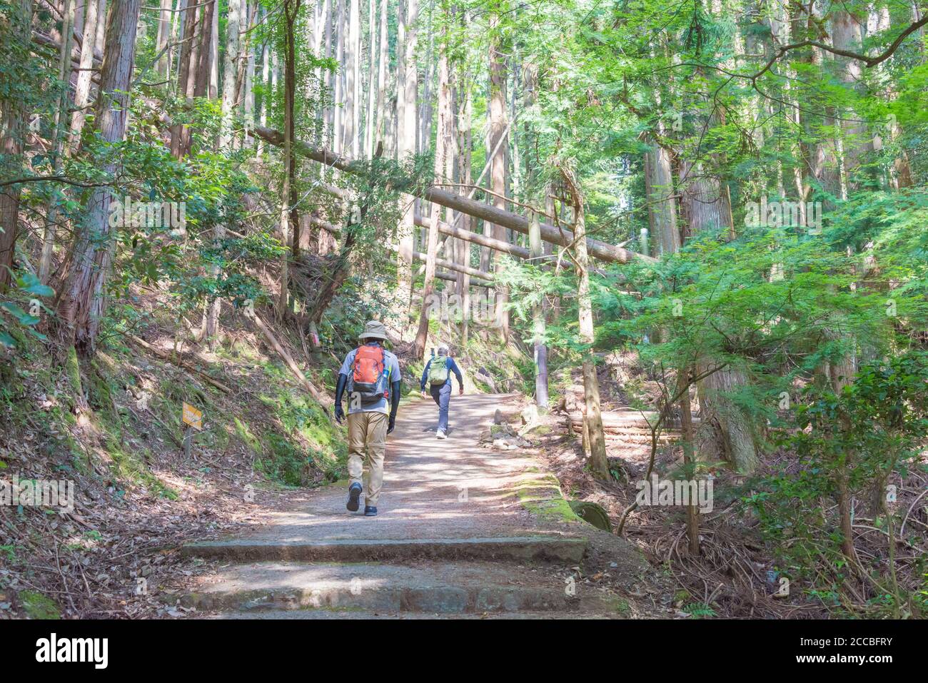 Kyoto, Japan - Approach to Atago Shrine on Mt. Atago in Kyoto, Japan ...