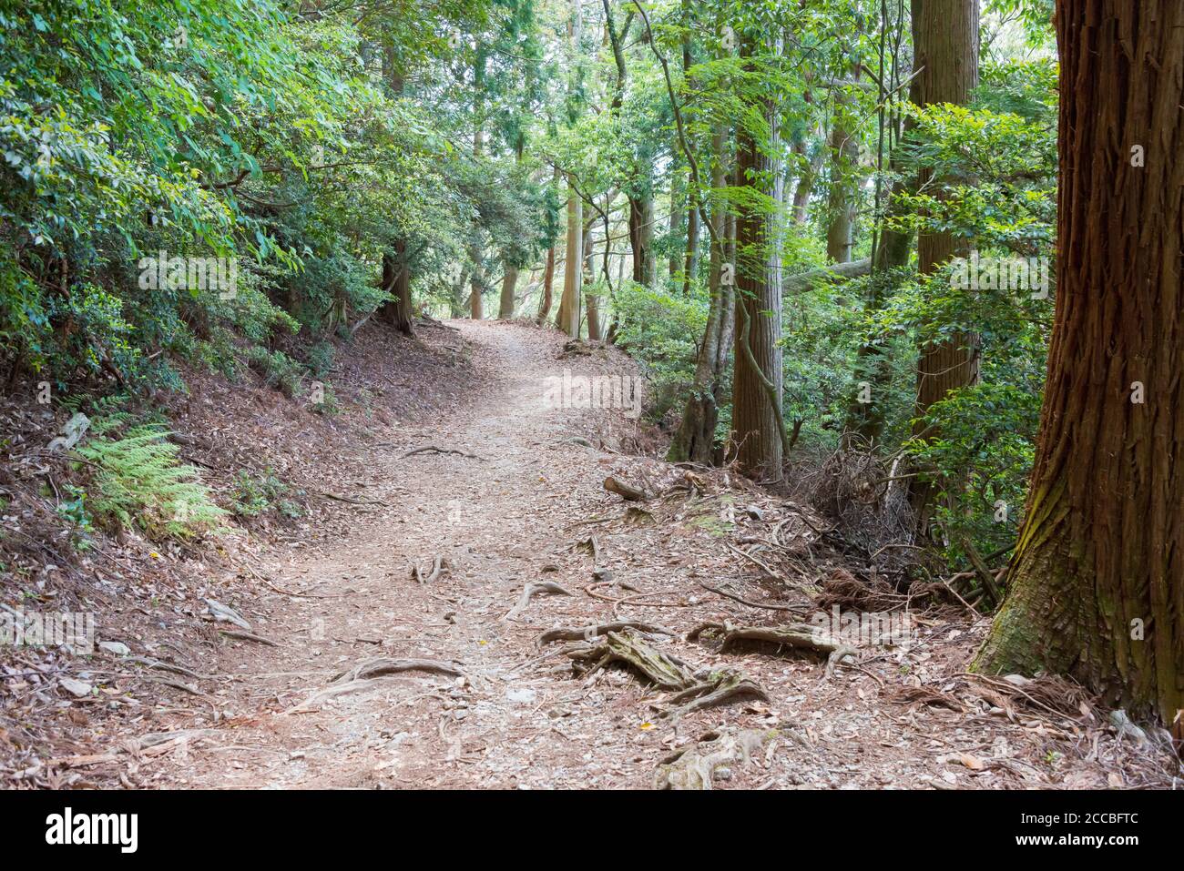 Kyoto, Japan - Approach to Atago Shrine on Mt. Atago in Kyoto, Japan ...