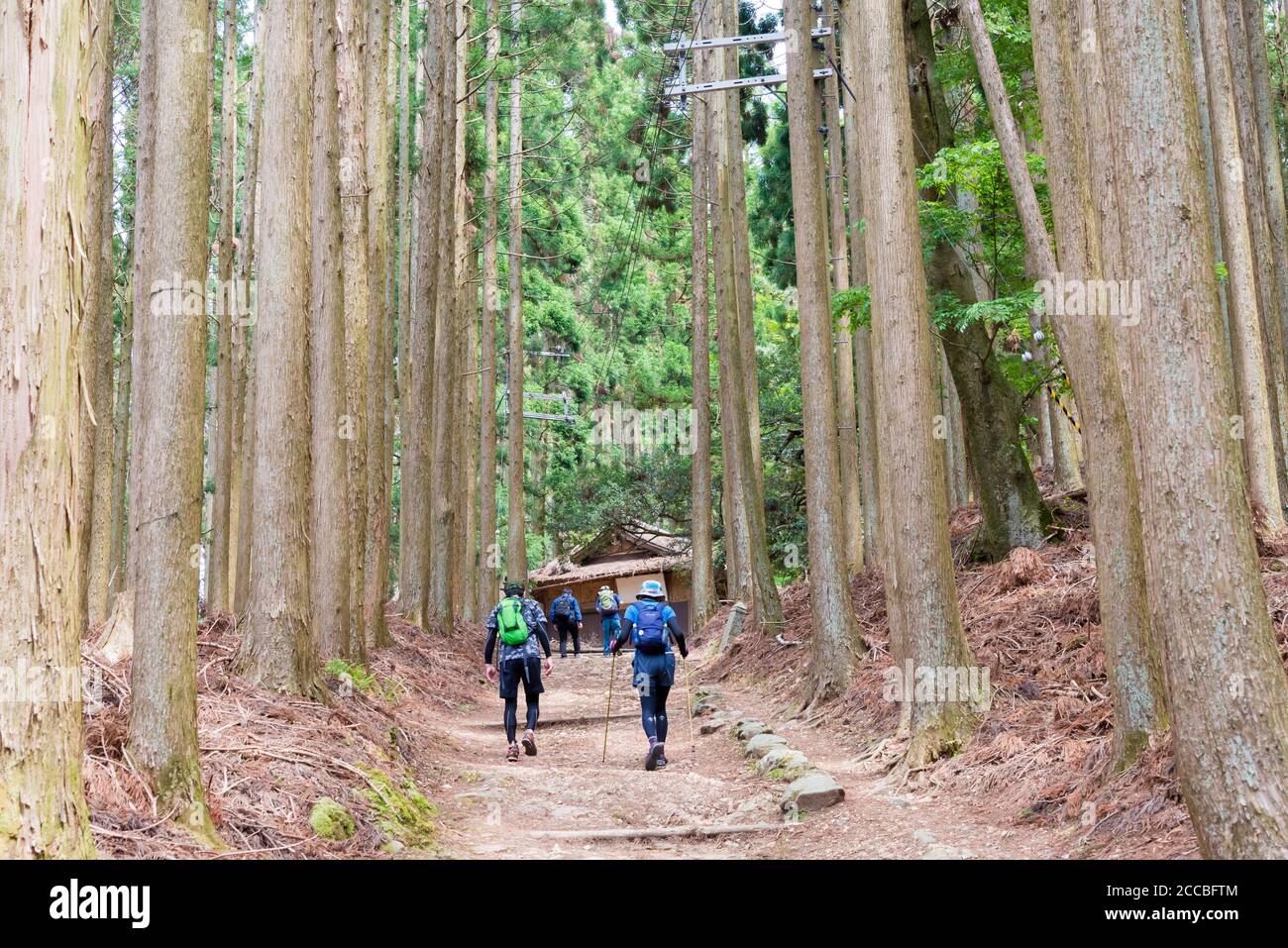 Kyoto, Japan - Approach to Atago Shrine on Mt. Atago in Kyoto, Japan ...