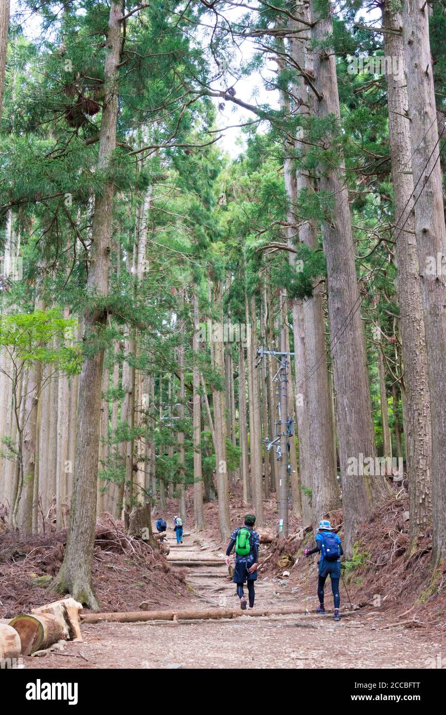 Kyoto, Japan - Approach to Atago Shrine on Mt. Atago in Kyoto, Japan ...