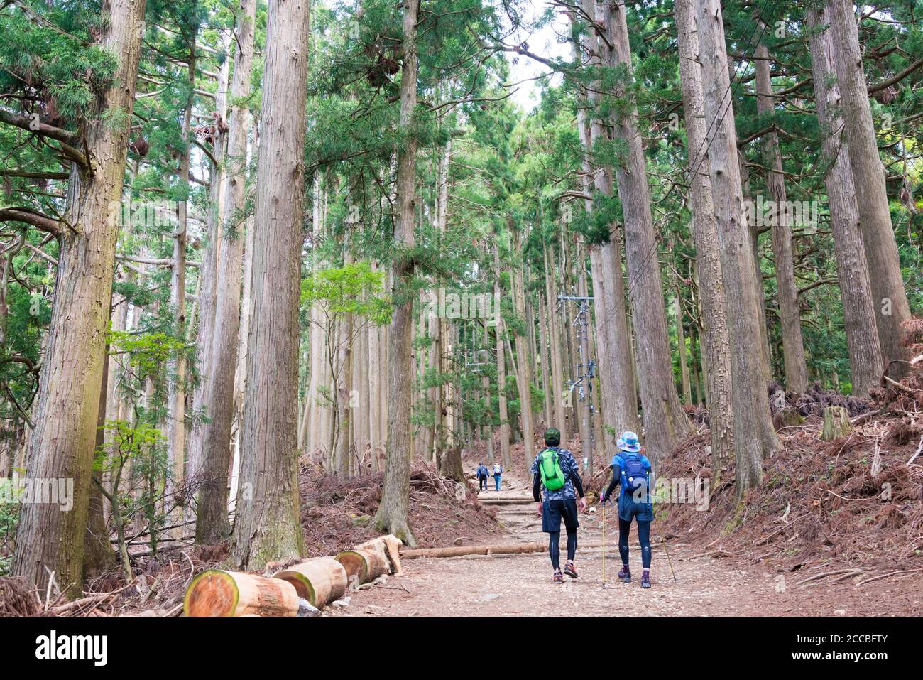 Kyoto, Japan - Approach to Atago Shrine on Mt. Atago in Kyoto, Japan ...