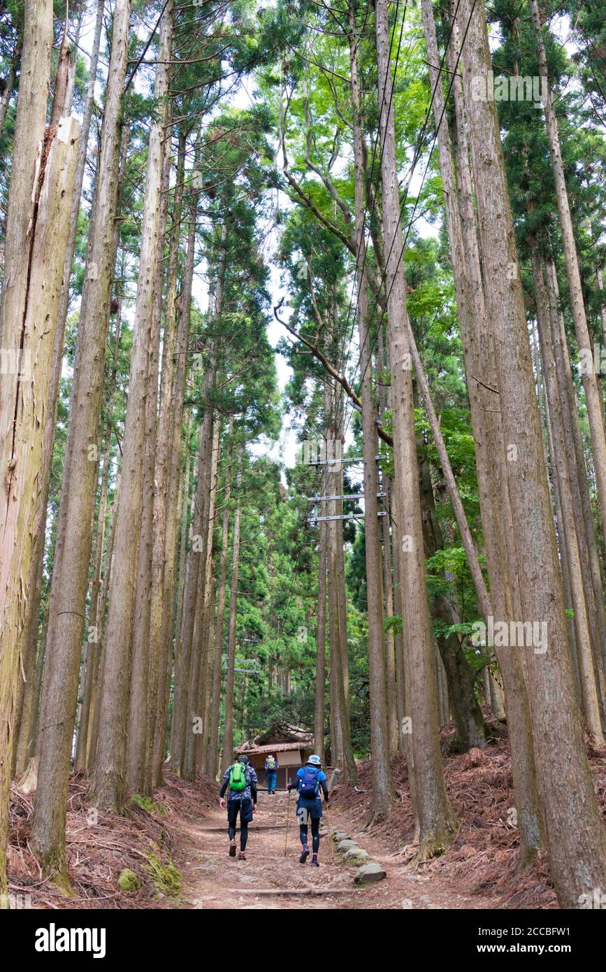 Kyoto, Japan - Approach to Atago Shrine on Mt. Atago in Kyoto, Japan ...