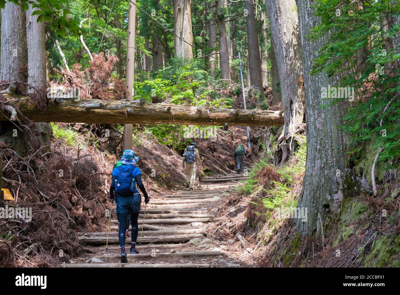 Kyoto, Japan - Approach to Atago Shrine on Mt. Atago in Kyoto, Japan ...
