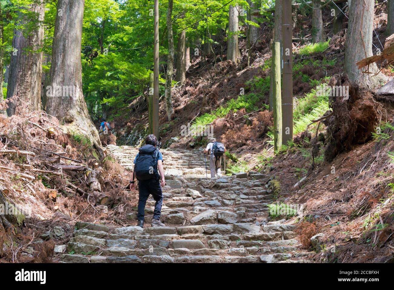 Kyoto, Japan - Approach to Atago Shrine on Mt. Atago in Kyoto, Japan ...