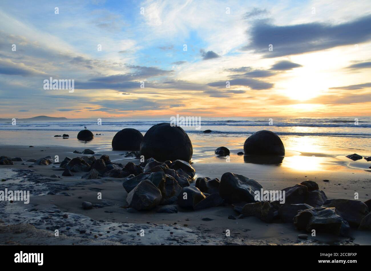 The Moeraki Boulders are unusually large and spherical boulders lying ...
