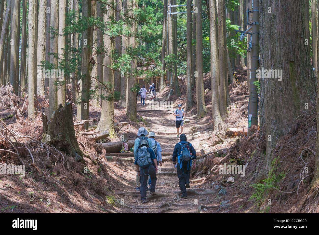 Kyoto, Japan - Approach to Atago Shrine on Mt. Atago in Kyoto, Japan ...