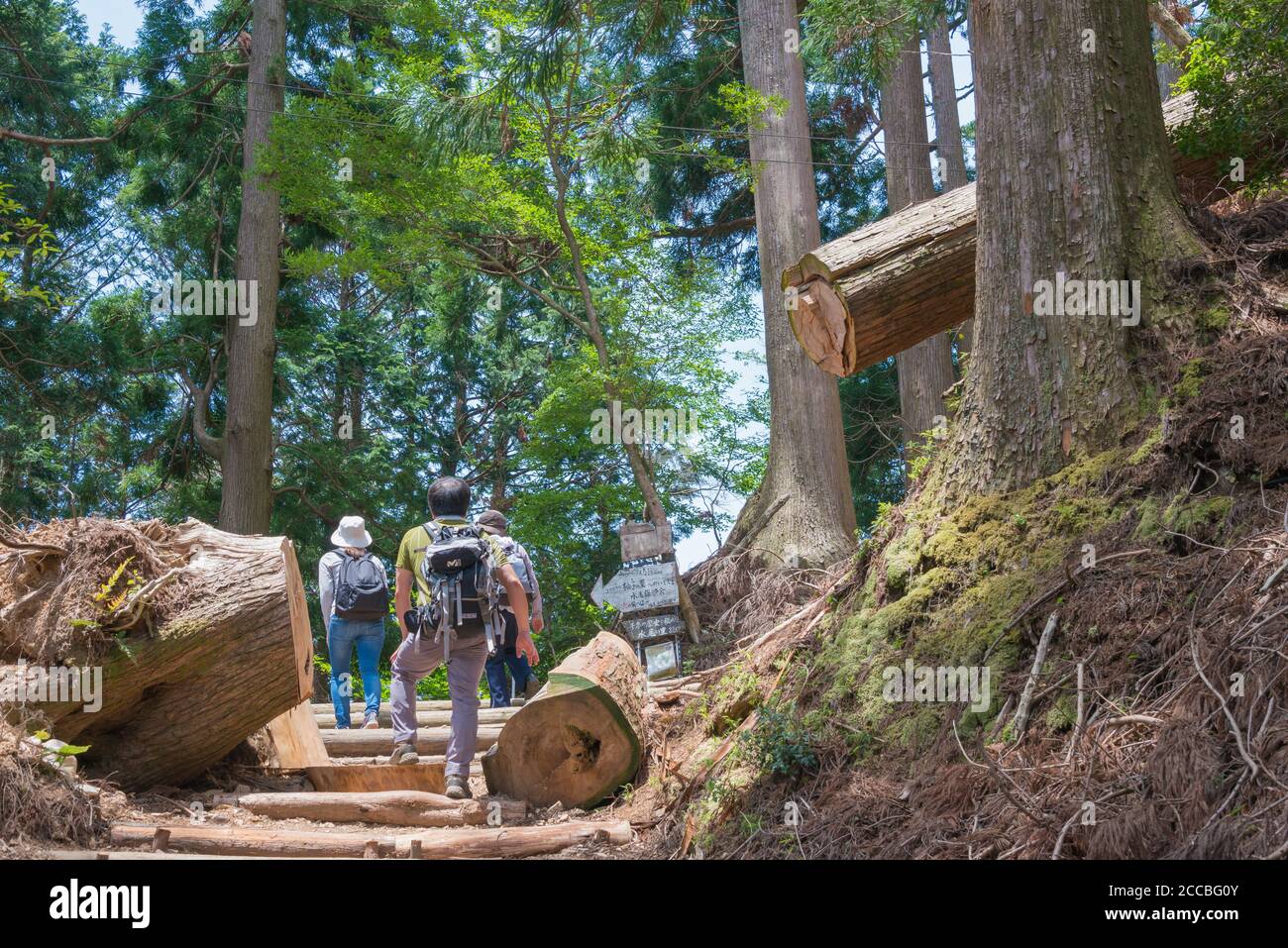 Kyoto, Japan - Approach to Atago Shrine on Mt. Atago in Kyoto, Japan ...