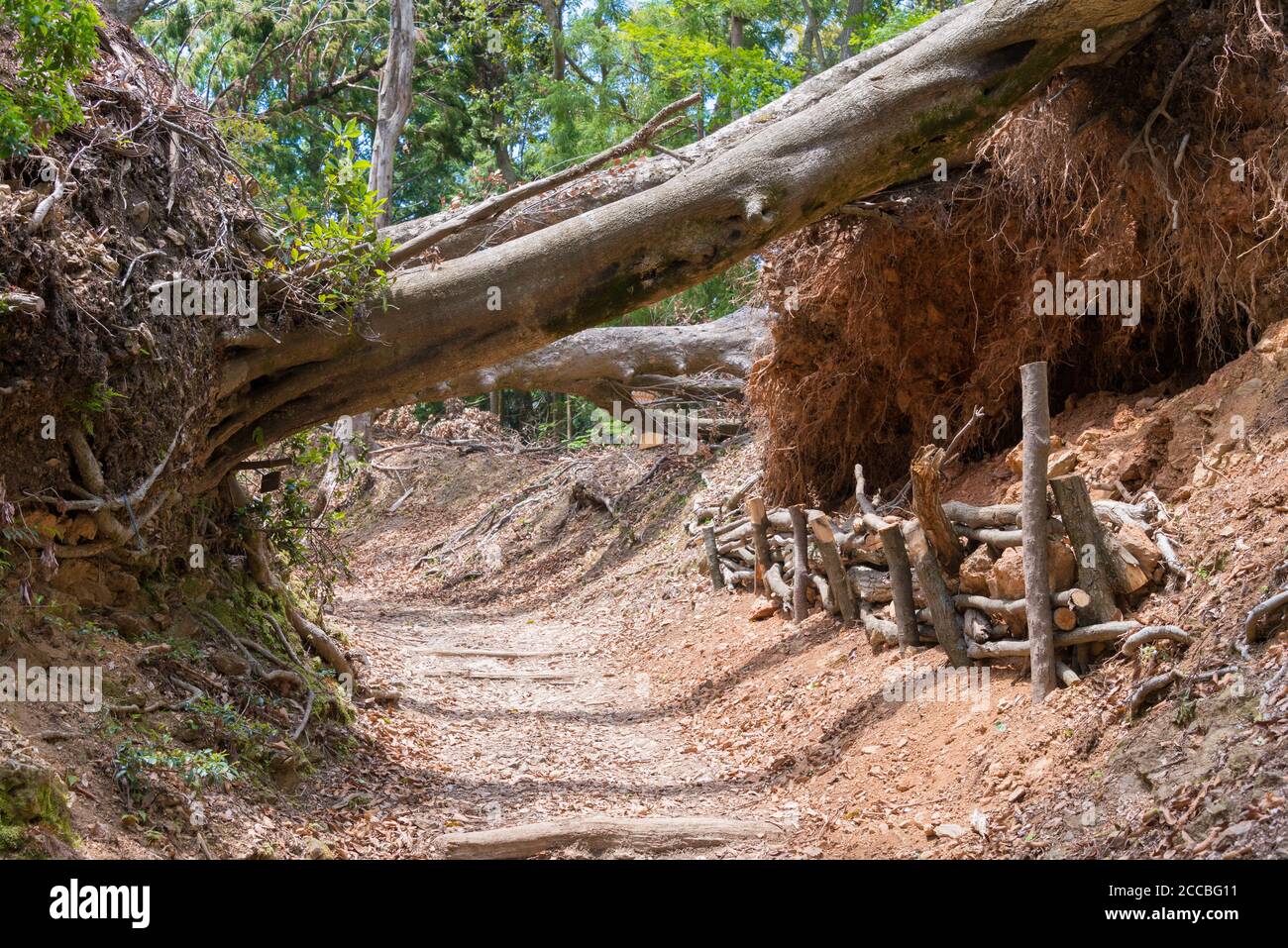 Kyoto, Japan - Approach to Atago Shrine on Mt. Atago in Kyoto, Japan ...