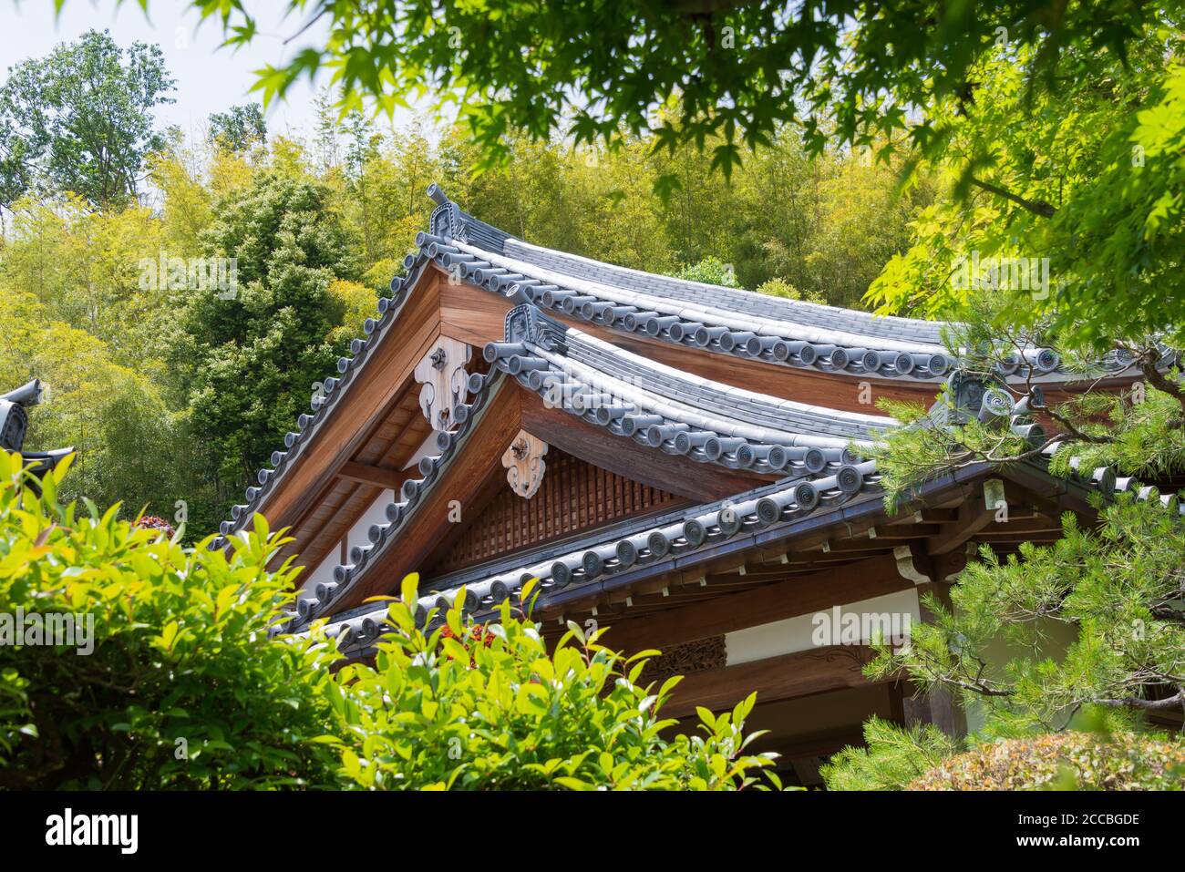 Suzumushi temple hi-res stock photography and images - Alamy