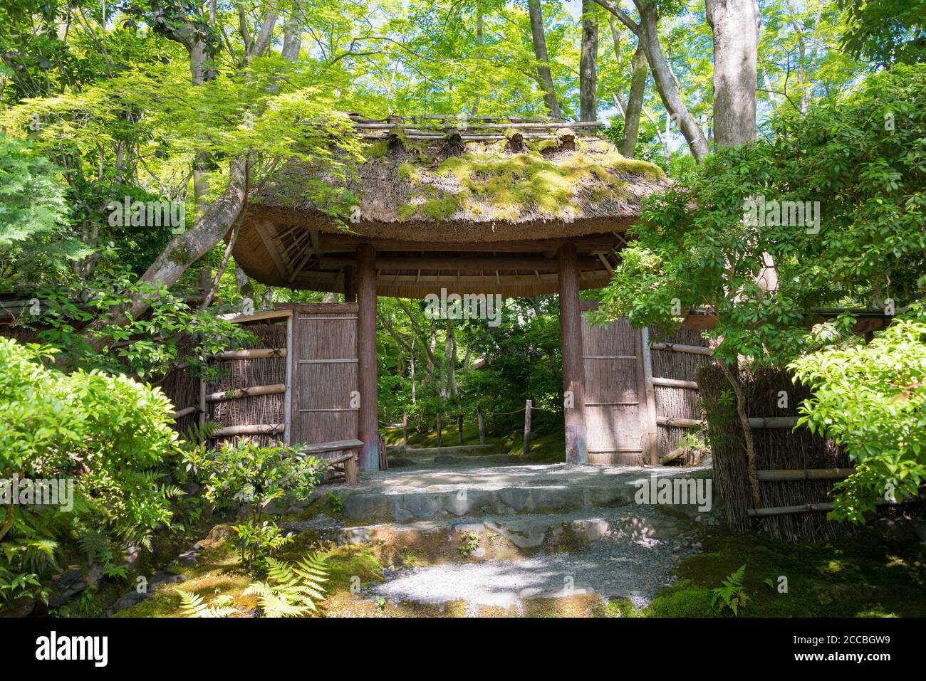Kyoto, Japan - Gio-ji Temple in Kyoto, Japan Stock Photo - Alamy