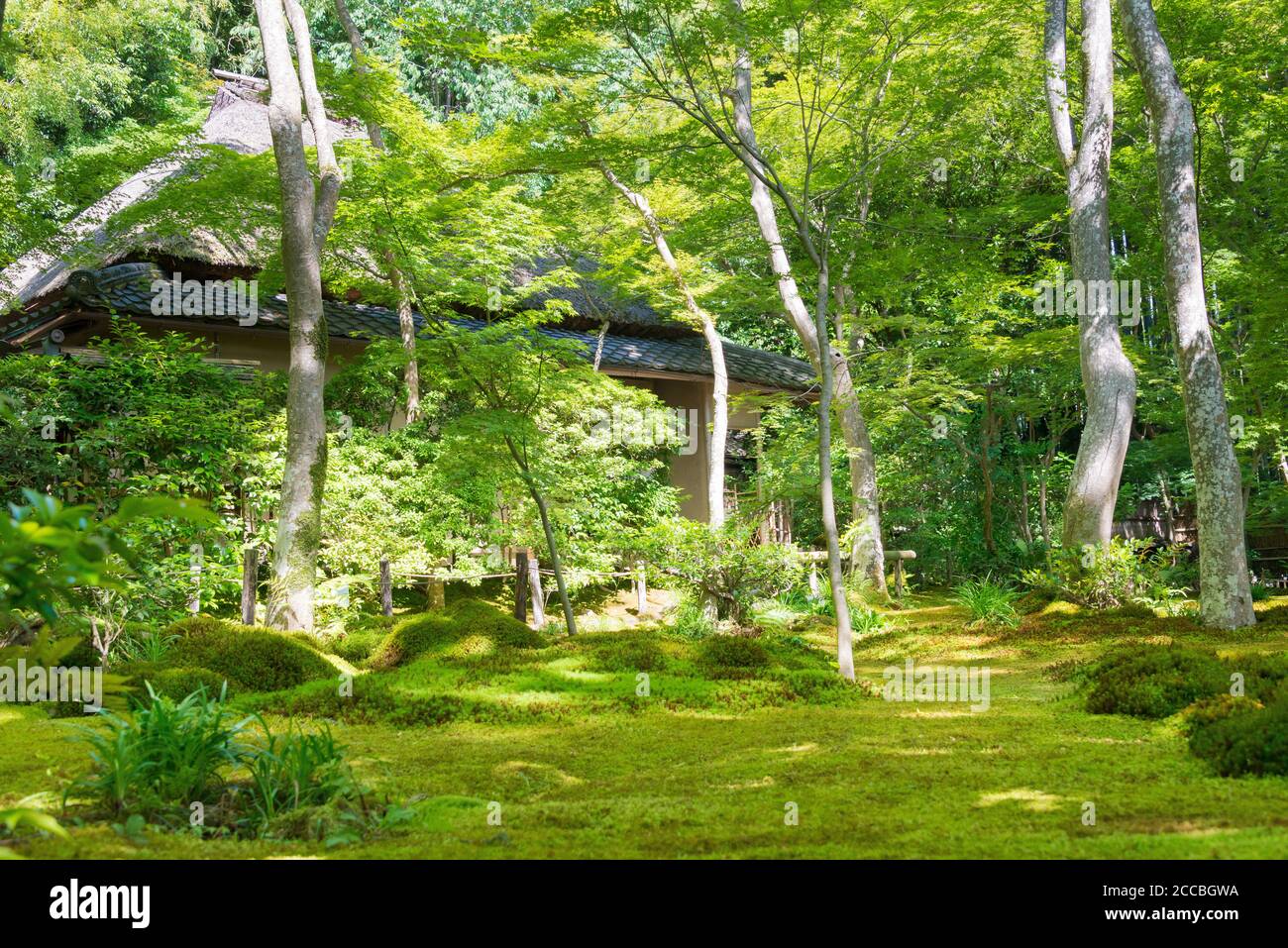 Gio ji buddhist temple hi-res stock photography and images - Alamy