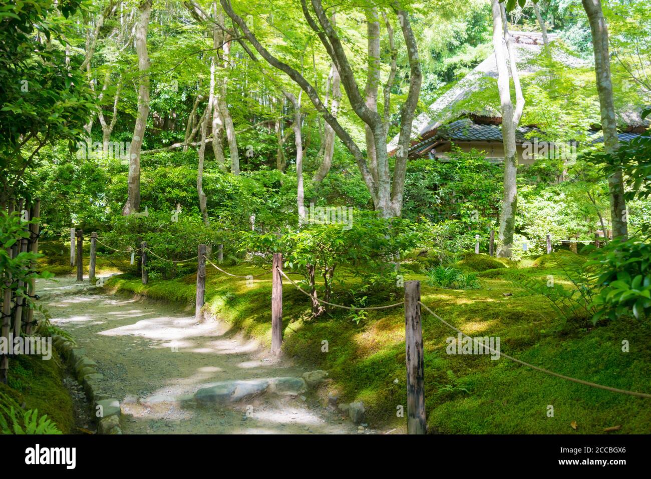 Kyoto, Japan - Gio-ji Temple in Kyoto, Japan Stock Photo - Alamy