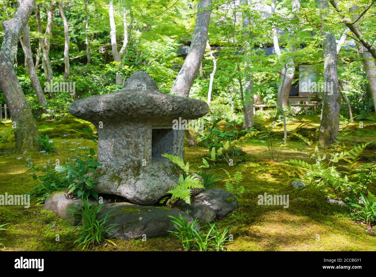 Kyoto, Japan - Gio-ji Temple in Kyoto, Japan Stock Photo - Alamy