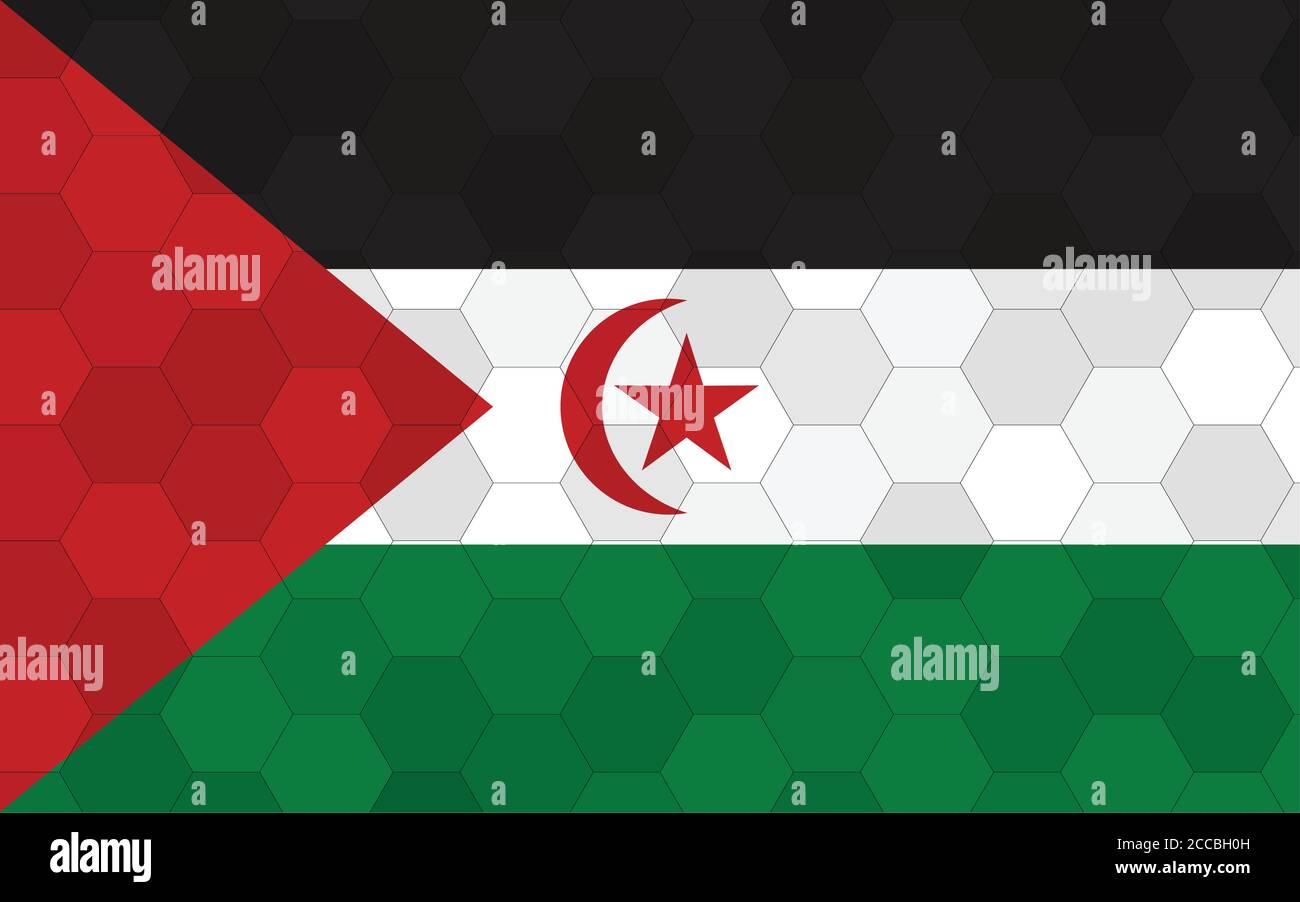 Western Sahara flag illustration. Futuristic Saharan flag graphic with ...