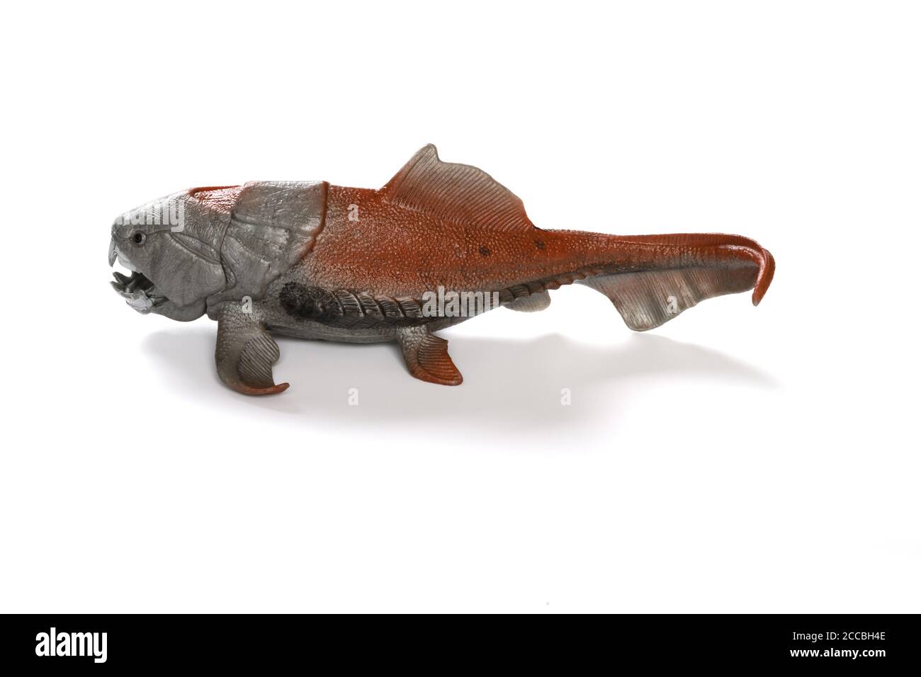 Dinichthys hi-res stock photography and images - Alamy