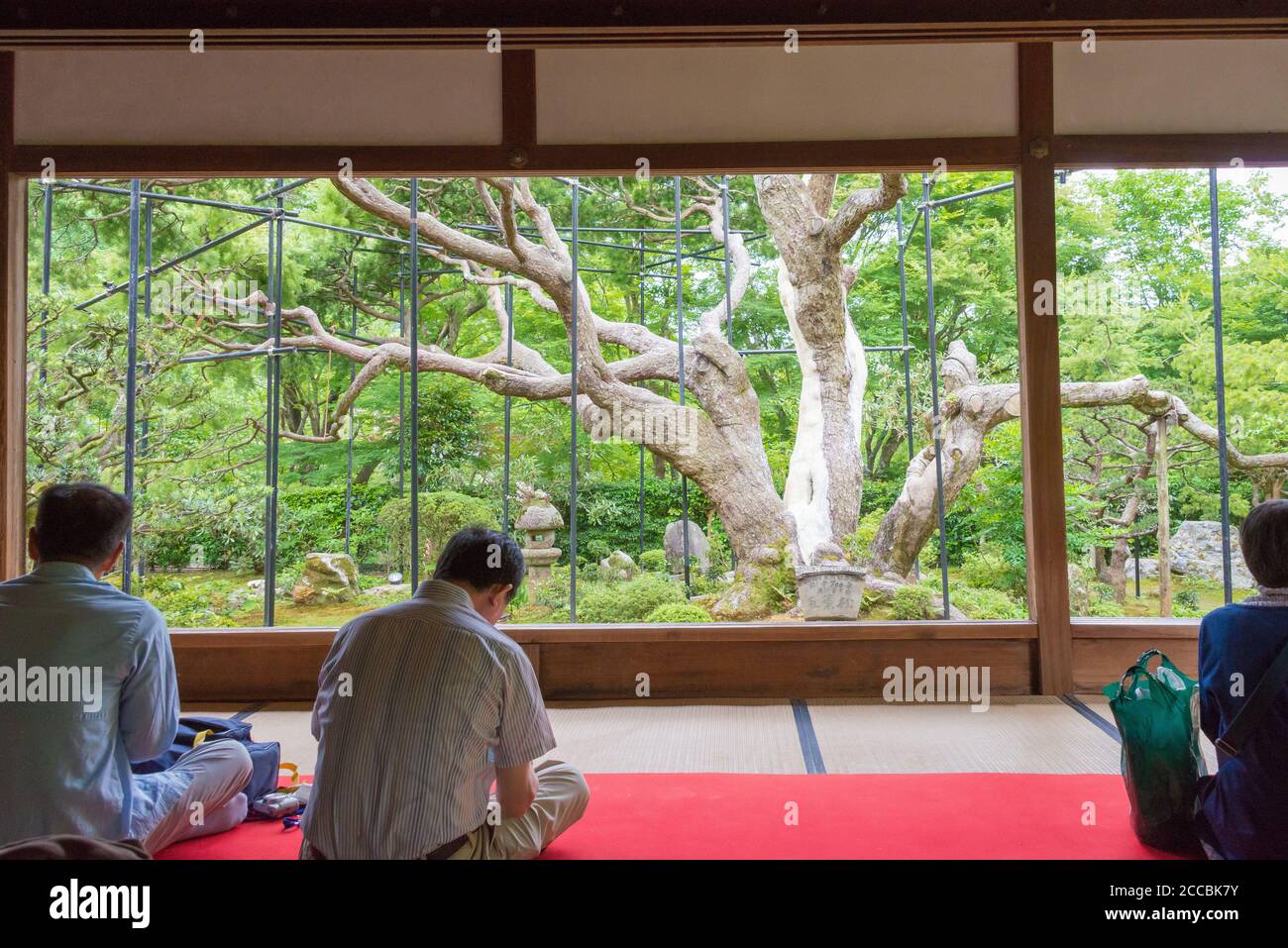 Chowa hi-res stock photography and images - Alamy