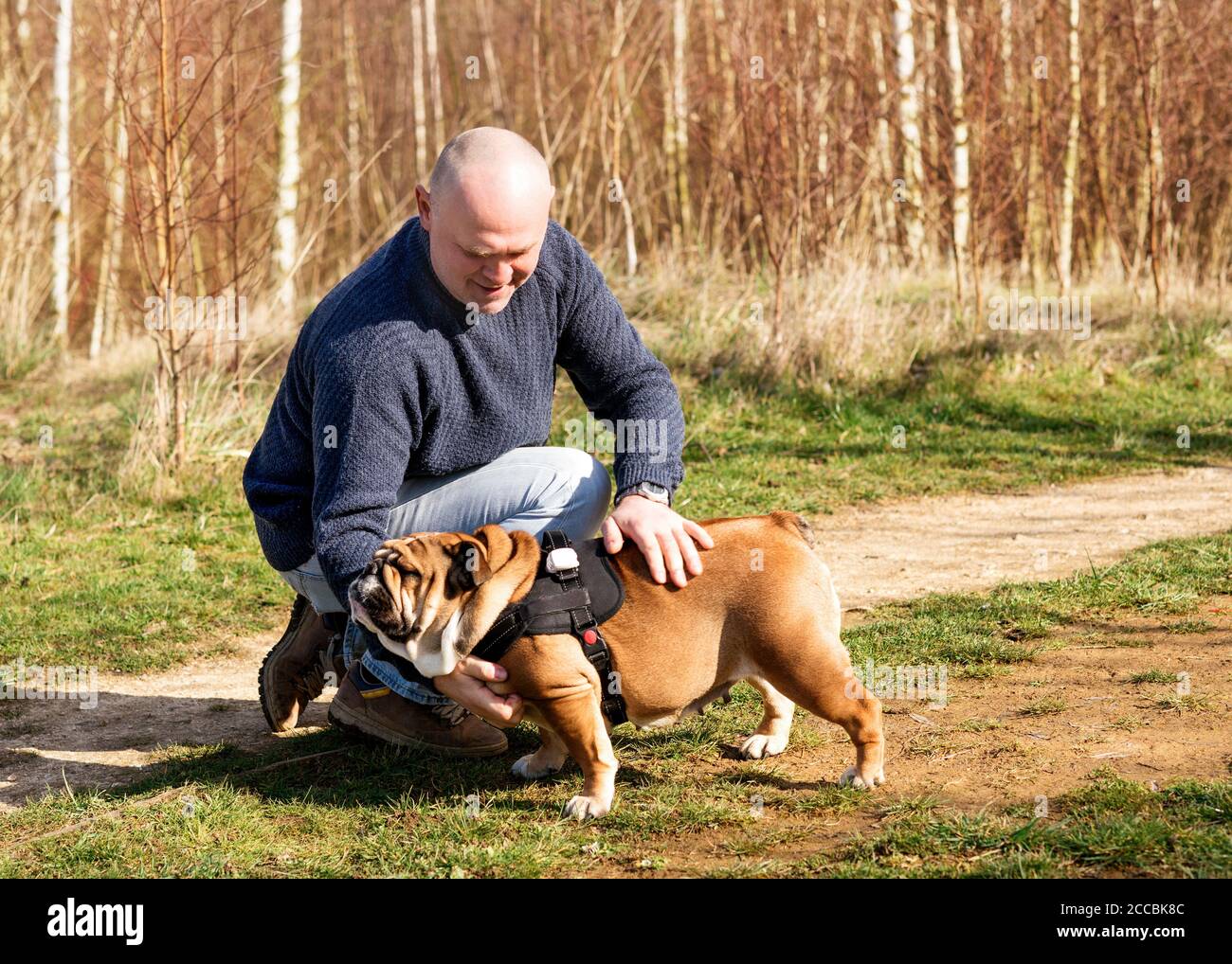 Man walking bulldog hi-res stock photography and images - Alamy