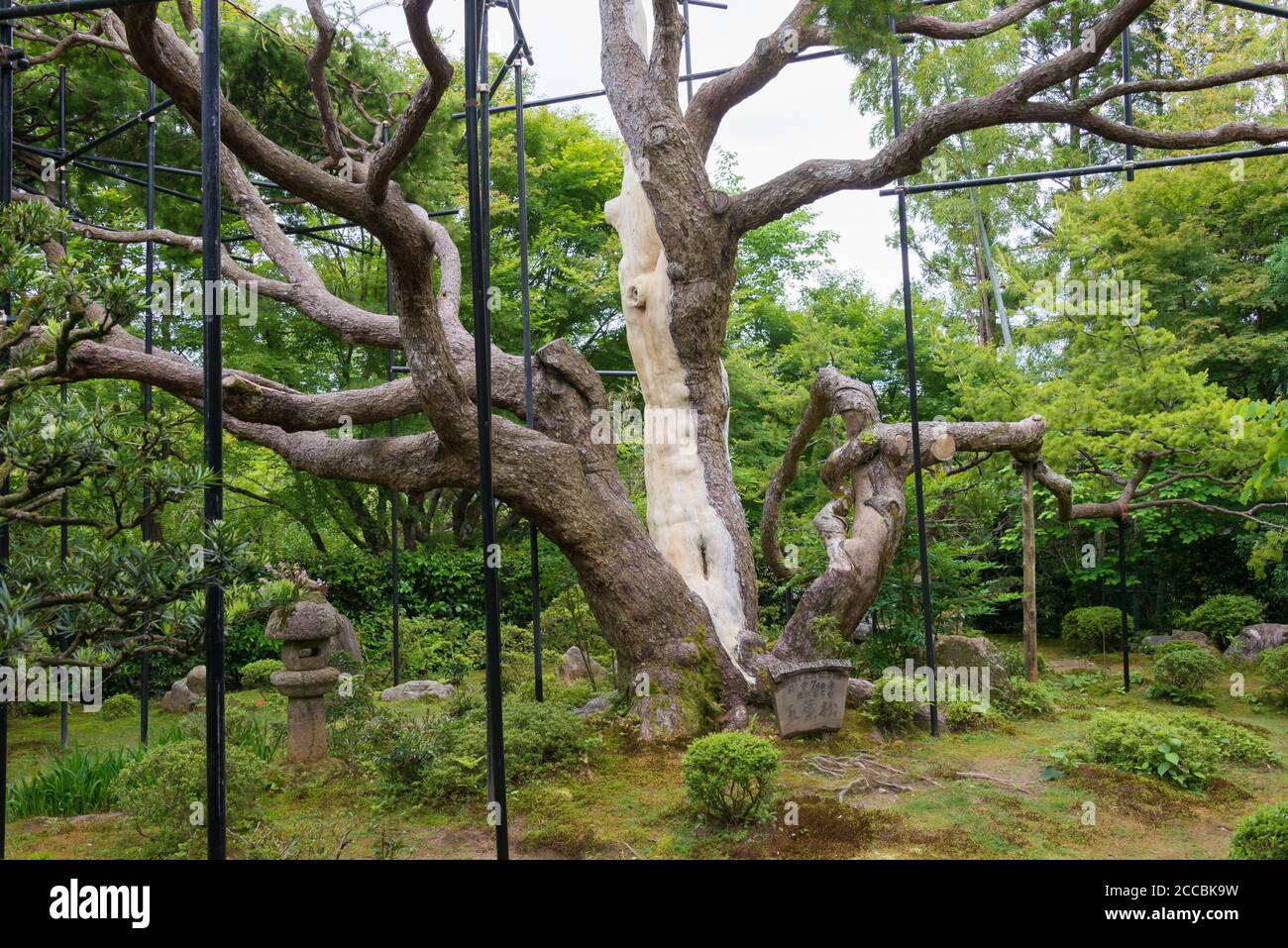Kyoto, Japan - Hosen-in Temple in Ohara, Kyoto, Japan. It was built in ...