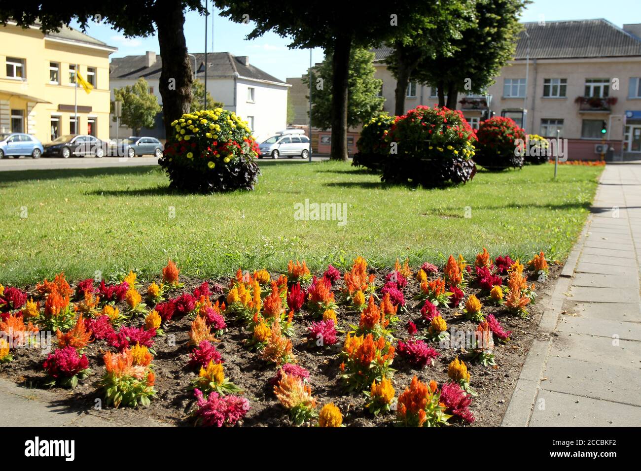 The city of Kedainiai in Lithuania is decorated with colorful flowers ...