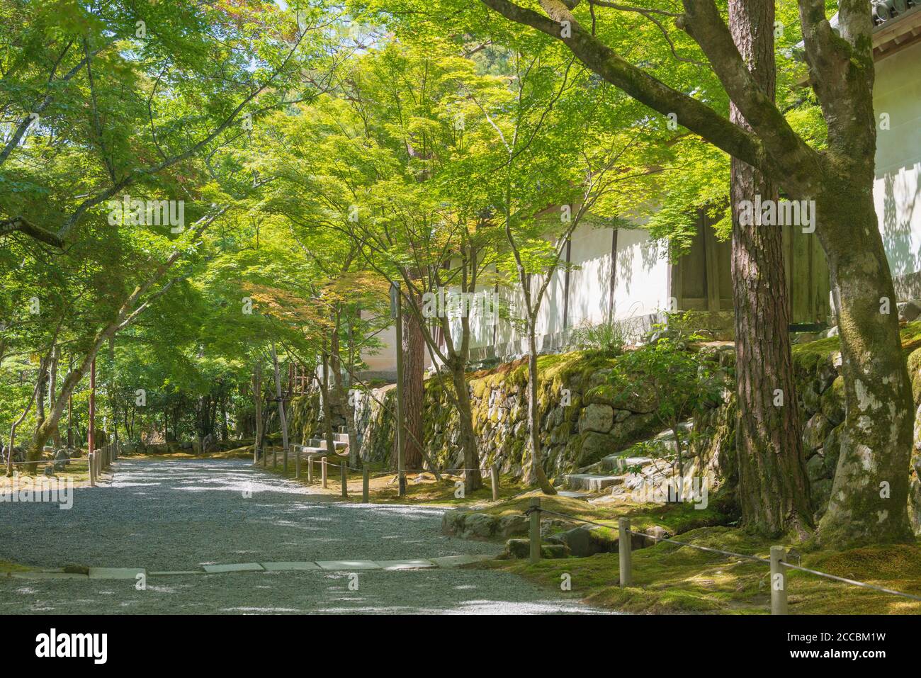 Nison in garden hi-res stock photography and images - Alamy