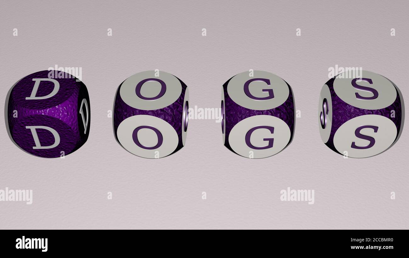 crosswords of DOGS arranged by cubic letters on a mirror floor, concept ...