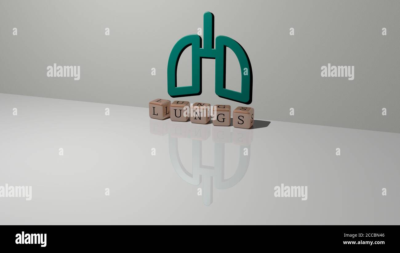 lungs text of cubic dice letters on the floor and 3D icon on the wall ...