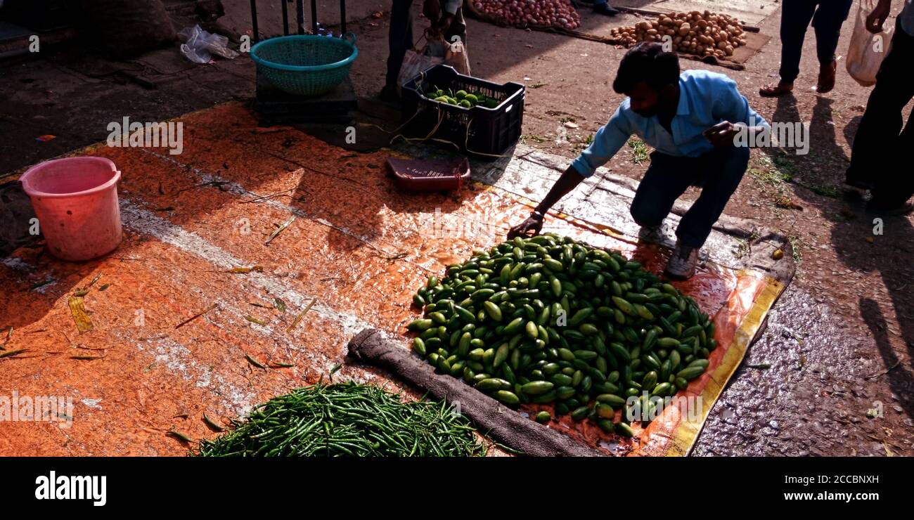 DISTRICT KATNI, INDIA - AUGUST 07, 2019: Asian boy arranging beans at ...