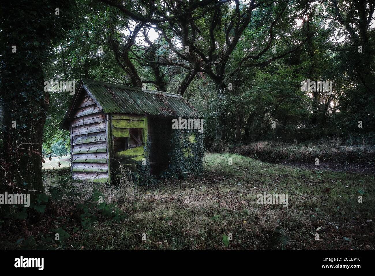 Dilapidated cabin hi-res stock photography and images - Alamy